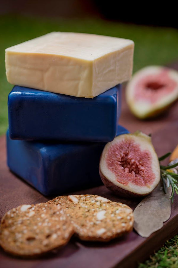 Gallostello Blue Cheese – Gallo Dairyland